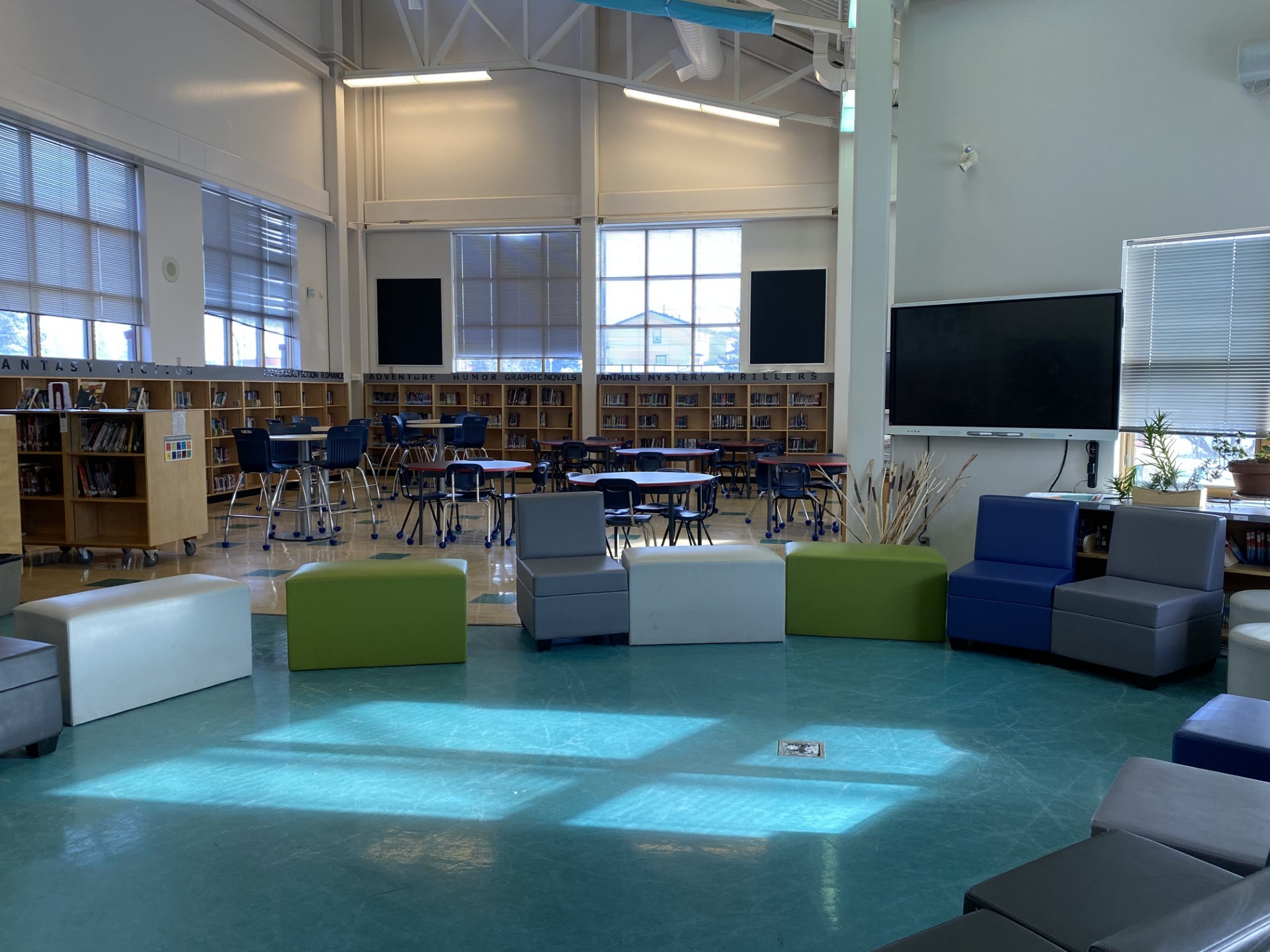 Learning Commons / Library - Terry Fox School